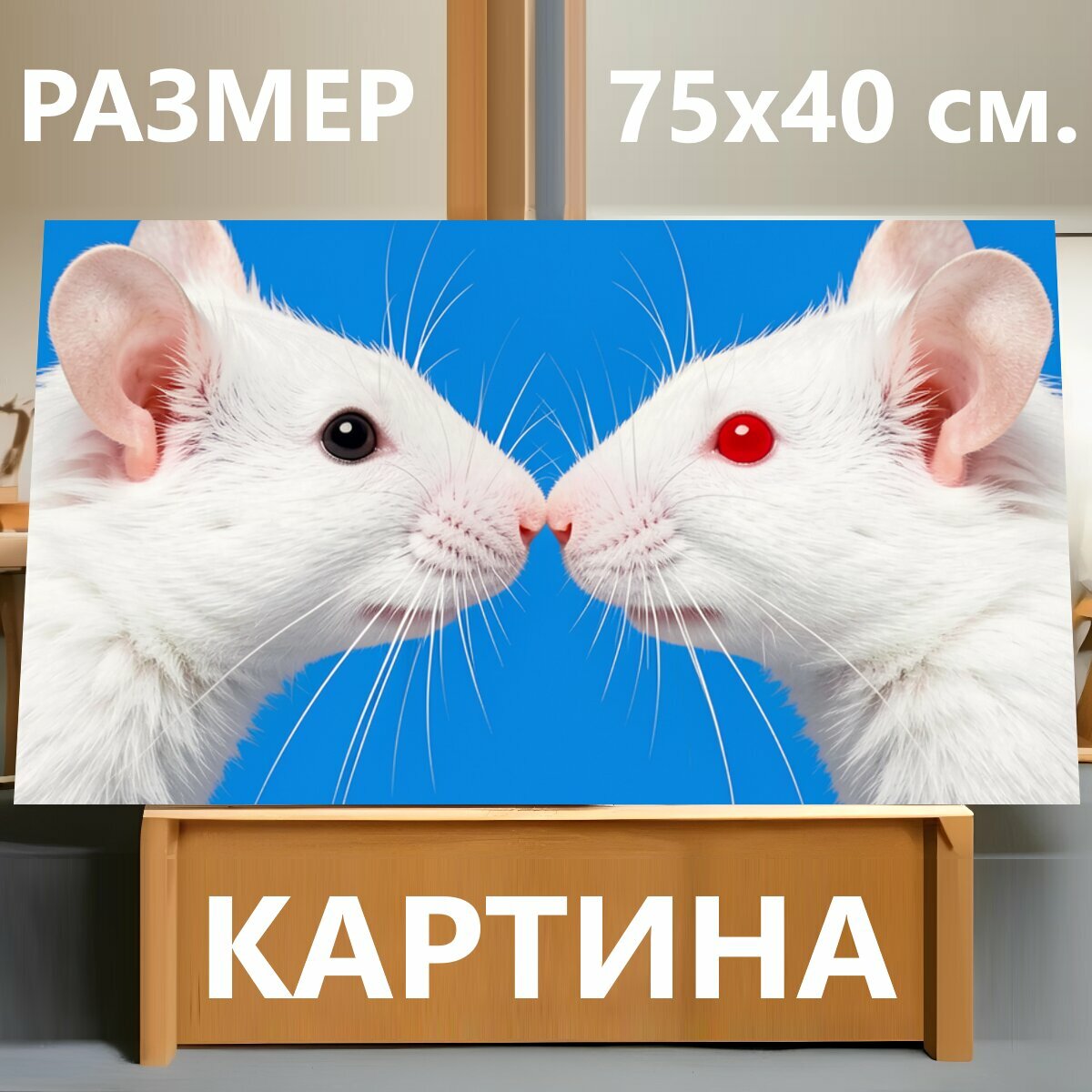 Картина на холсте "Две белые мыши нос к носу. Парные белоснежные грызуны в крупном плане, один с черным глазом, другой с красным, на ярком." на подрамнике 75х40 см. для интерьера