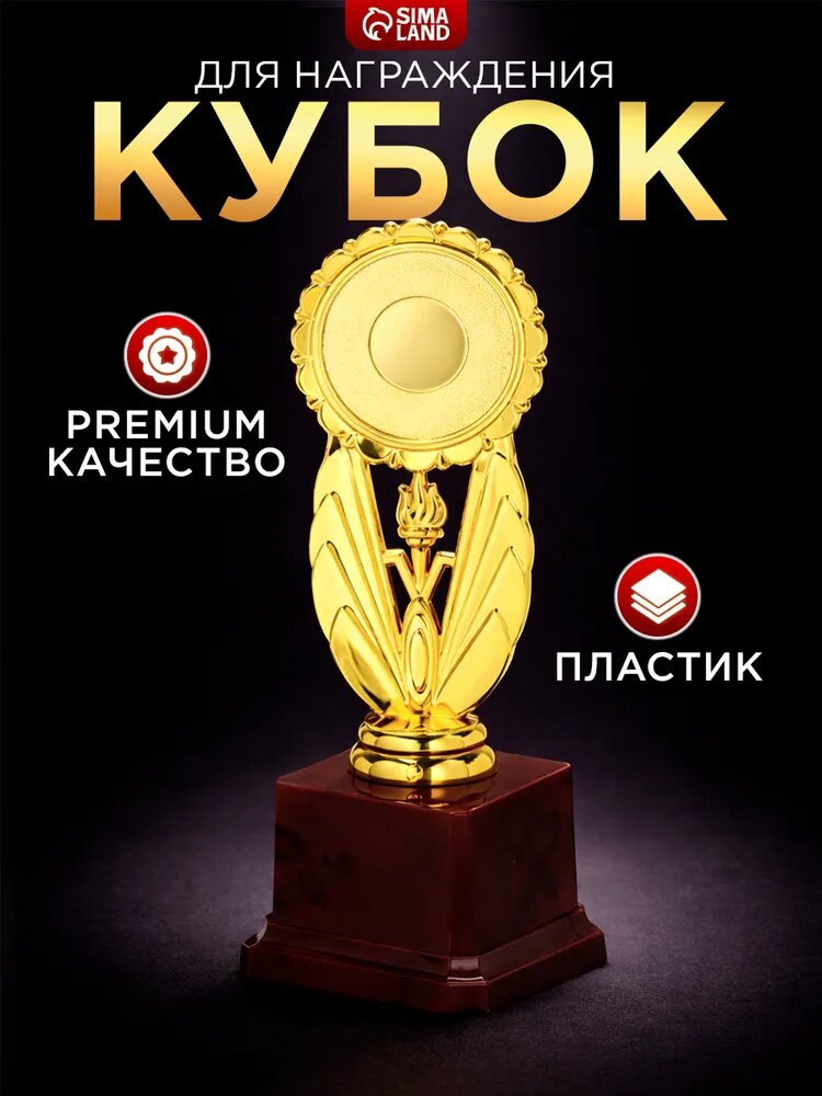 Кубок для награждения, спортивный, 31 см