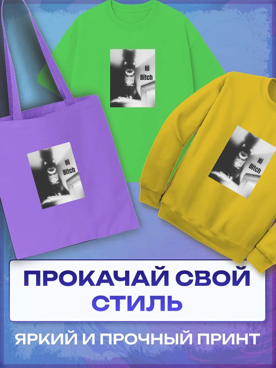 Термонаклейка hi bitch — фото 1
