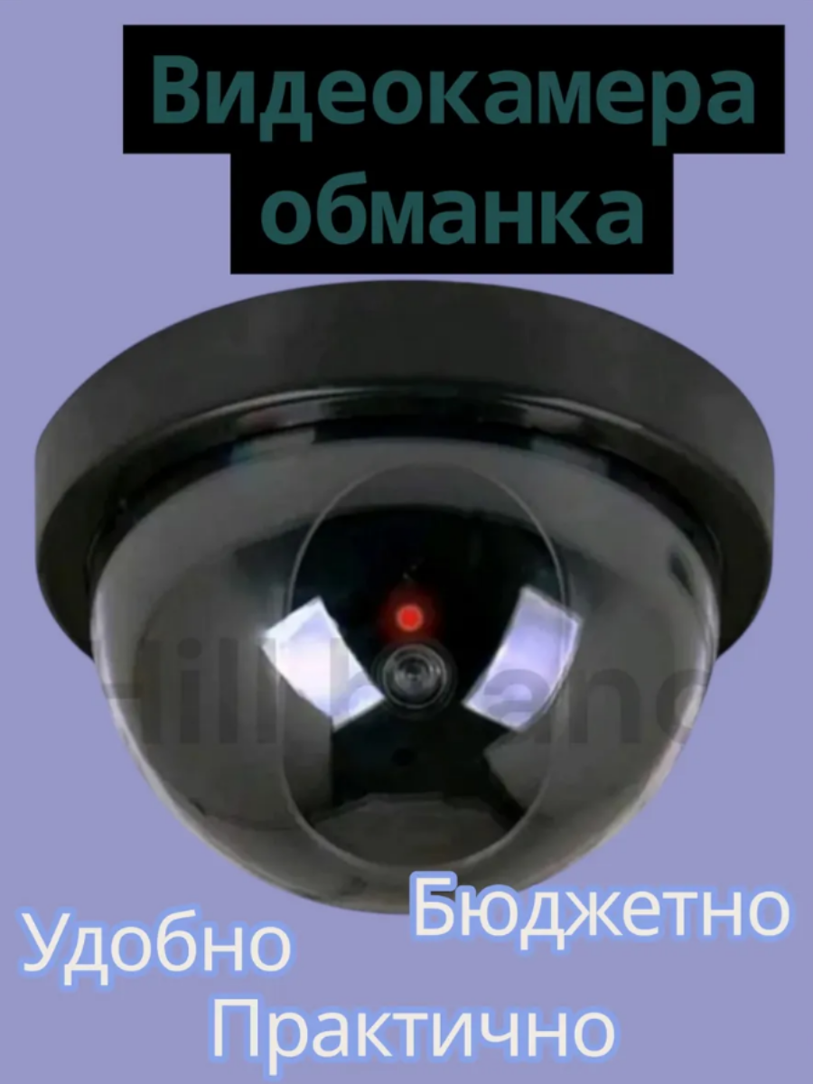 Камера обманка