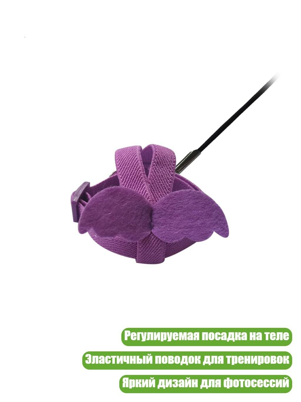 Хомут и поводок для птиц, Фиолетовый - Пион XS