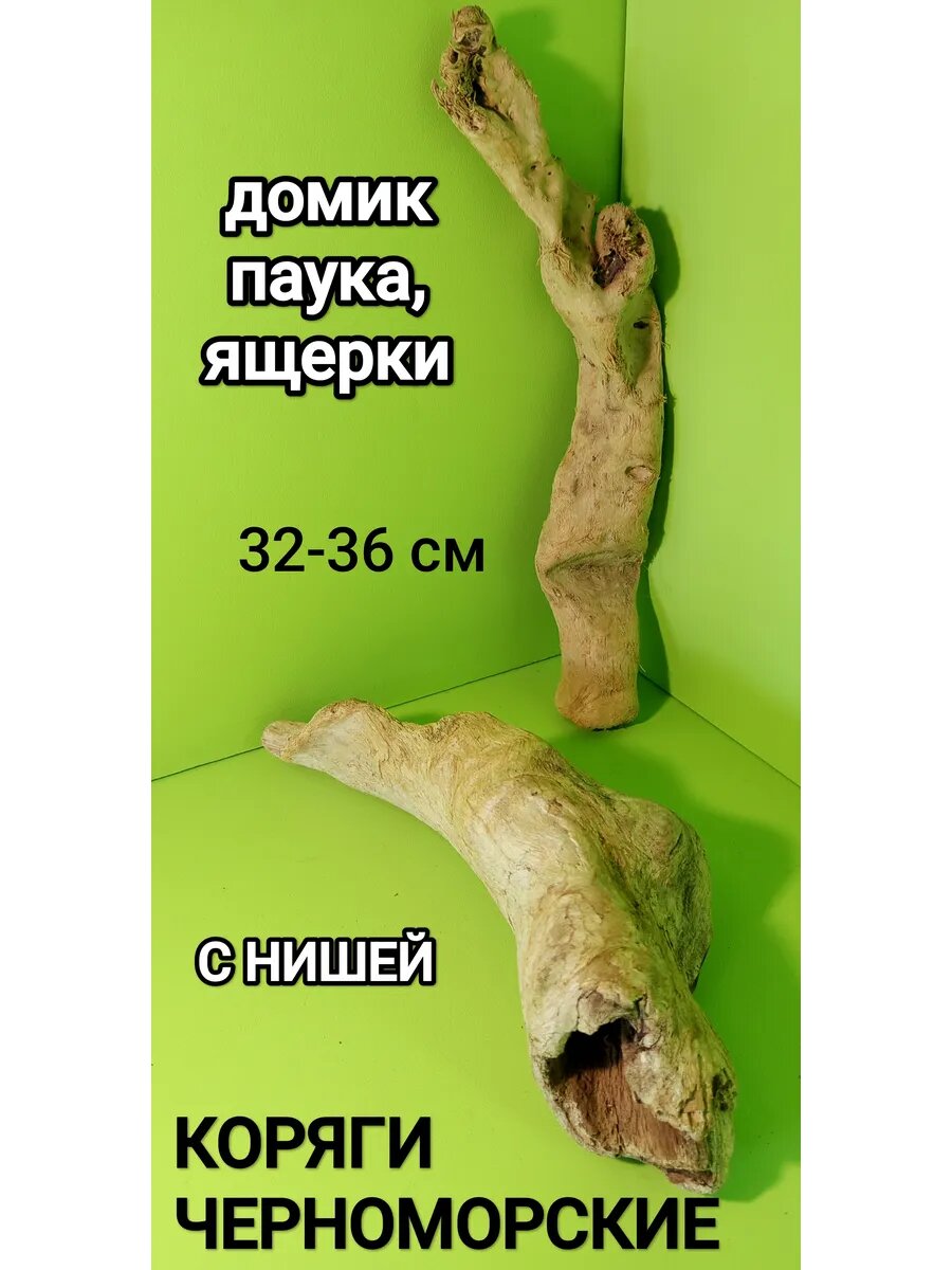 Коряга натуральная Черноморская домик паука для террариума