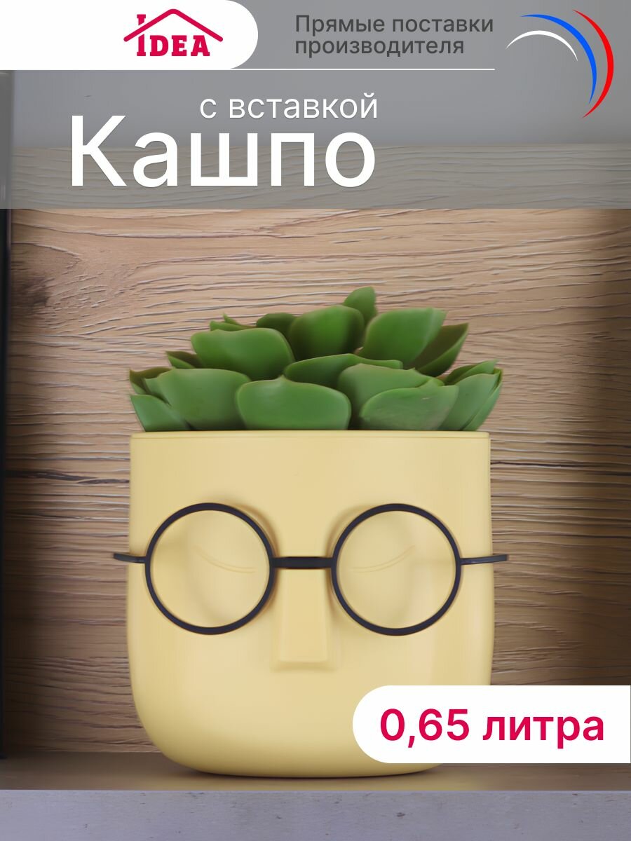 Кашпо для цветов 0,65л со вставкой и с очками, горшок для цветов