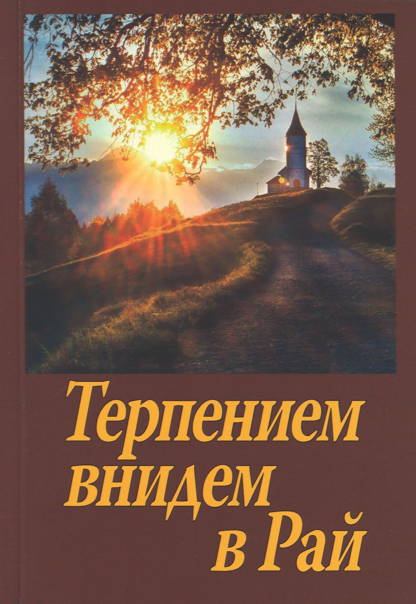 Терпением внидем в Рай. Об очищении души болезнями и скорбями