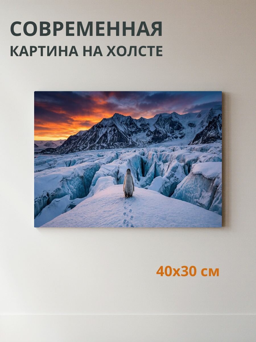 Картина на холсте Пингвин в ледяном пейзаже 40x30 см