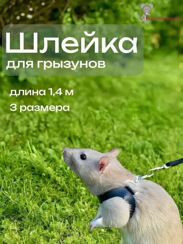 Шлейка для грызунов