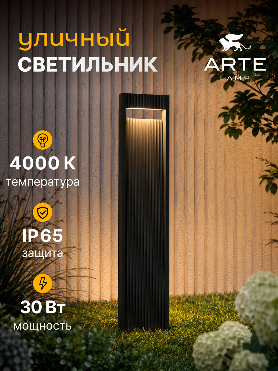 Ландшафтный светильник Arte Lamp ARNEB A2146PA-1BK, LED, 30 Вт, Чёрный