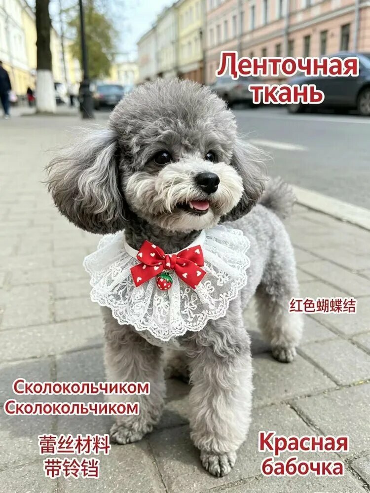 Шейный красный бантик с бубенком, украшение для кошек и средних собак