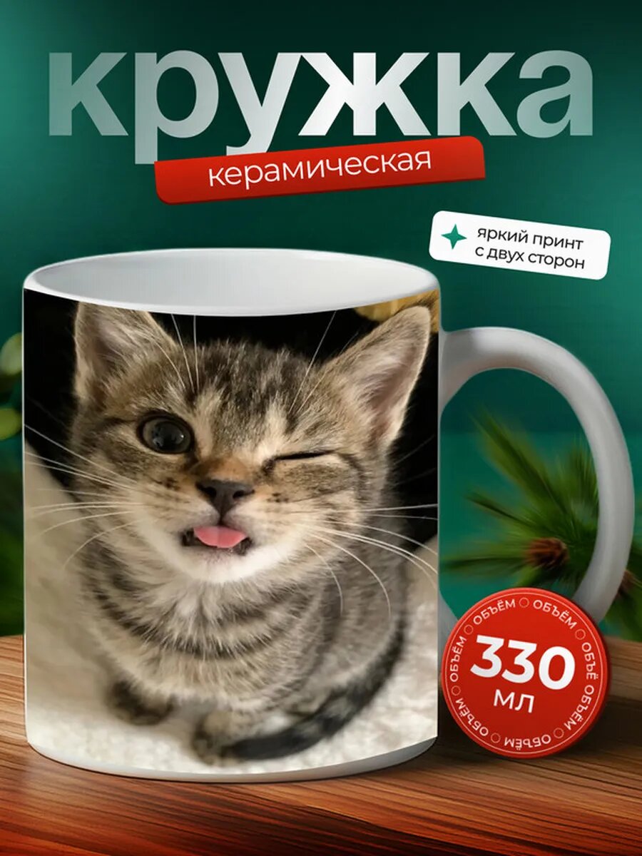 Кружка Эстетик кот 8,