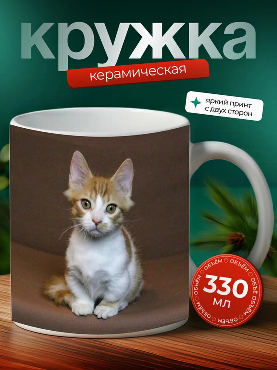 Кружка Манчкин кот 57,