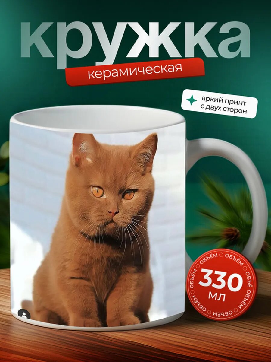 Кружка Латгальский янтарный кот 36,