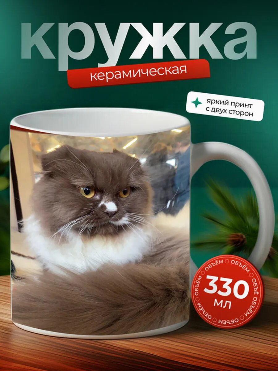 Кружка Хайленд фолд кот 7,