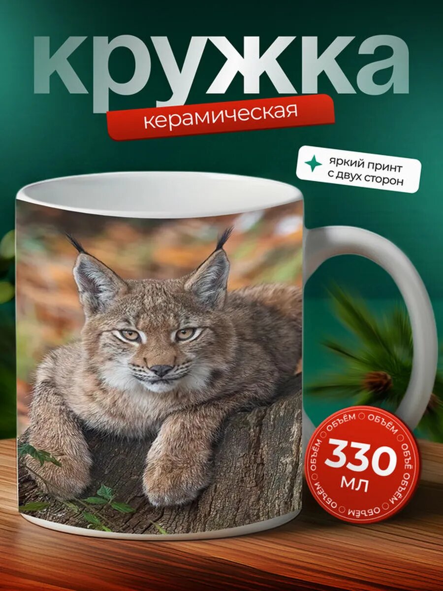 Кружка Берберийский рысь кот 12,