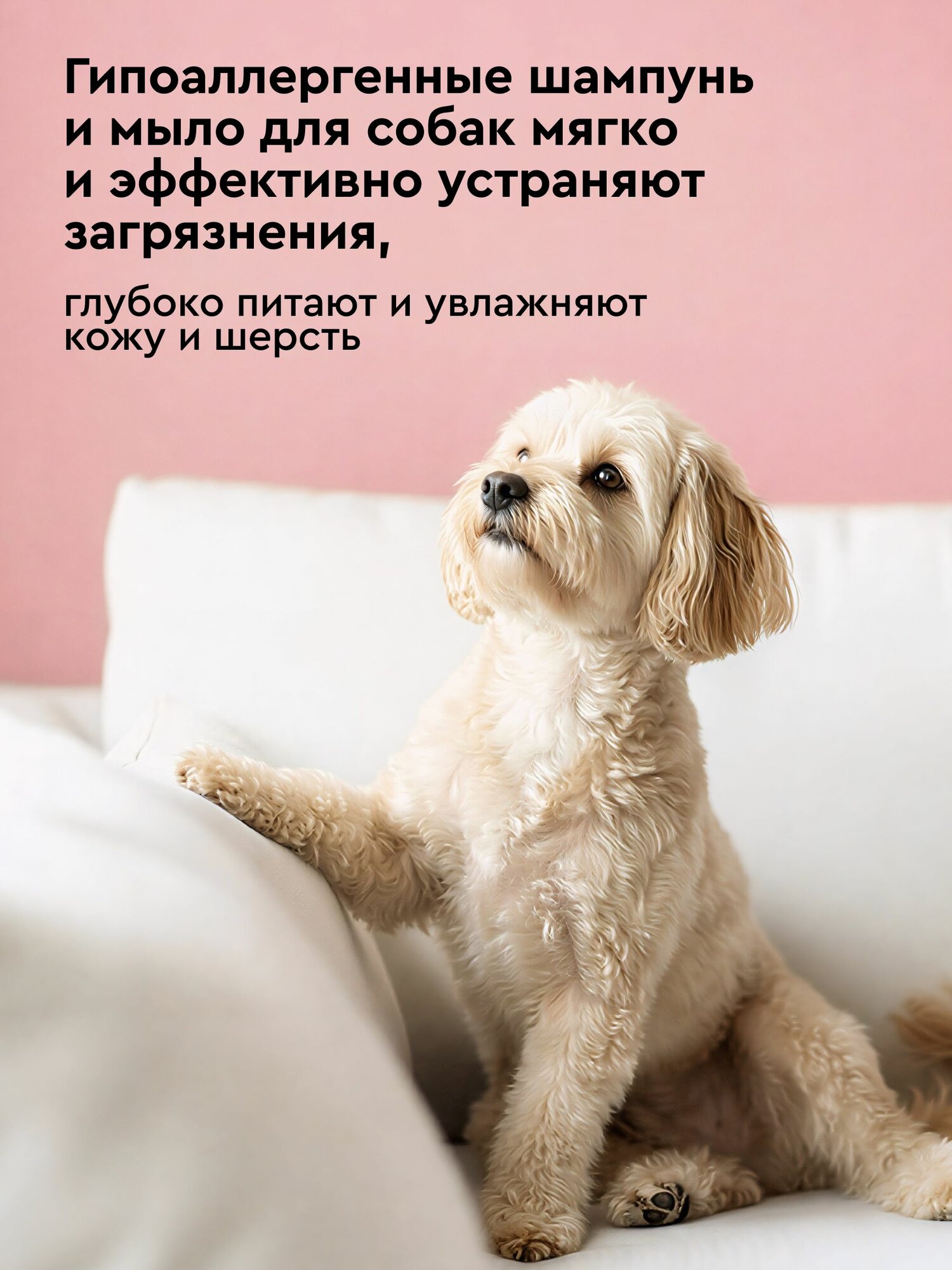 Шампунь для собак 1л + мыло для лап 1л с пантенолом шампунь для собак мыло для лап гигиена для собак