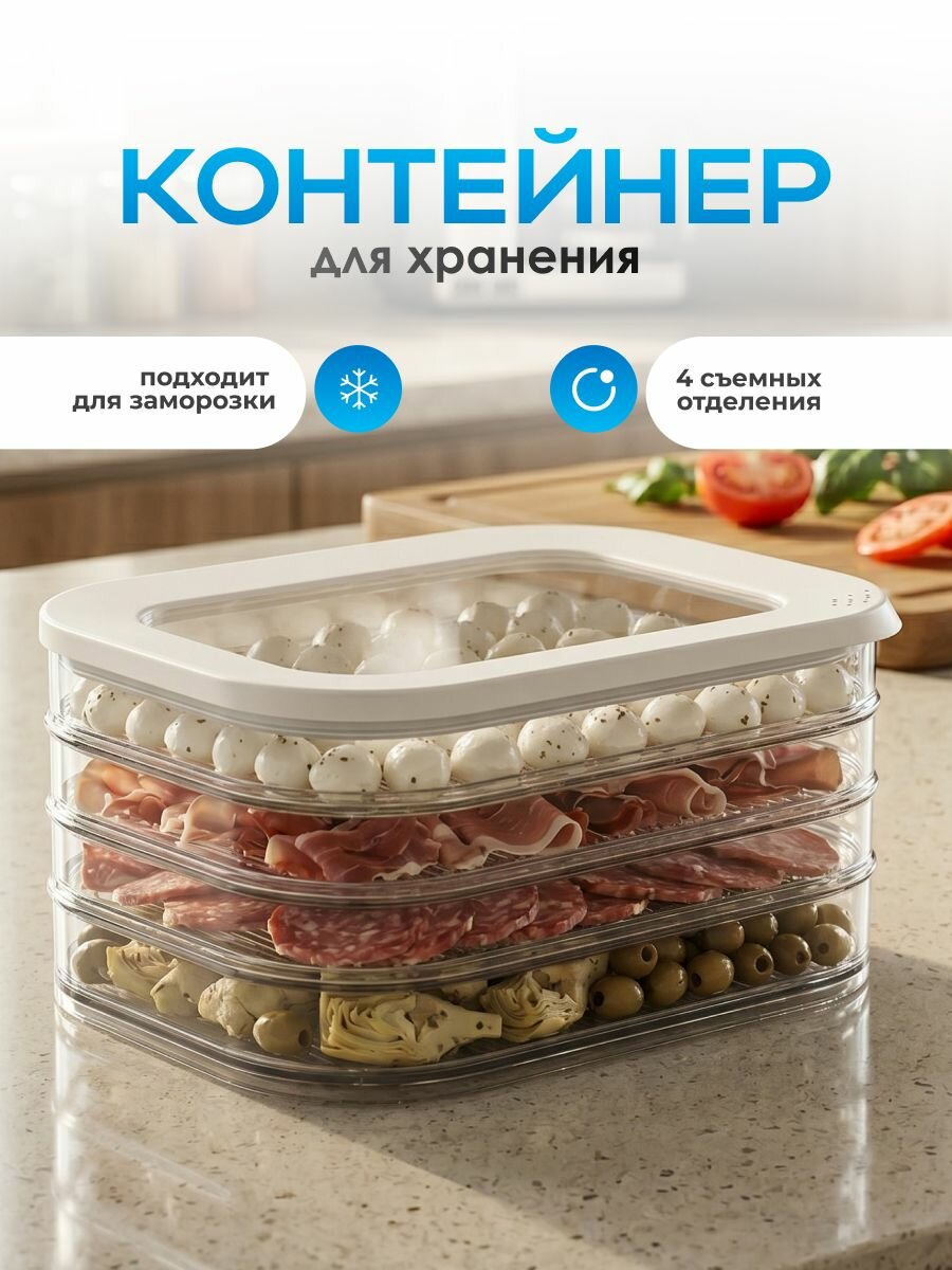 Контейнер для хранения и заморозки с крышкой пластиковый Shiny Kitchen, 4 секции многосекционный для продуктов
