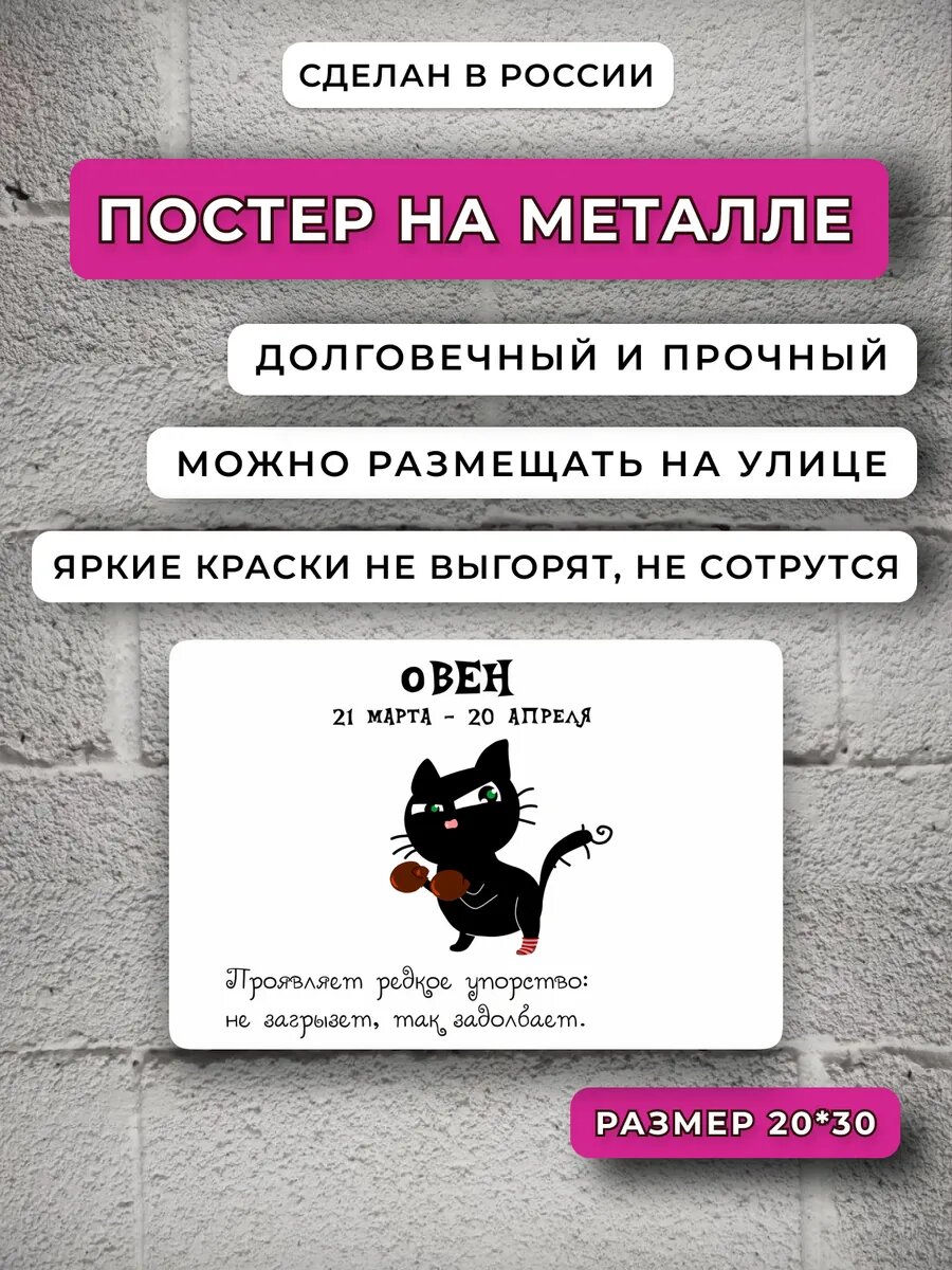 Котики постер — фото 1