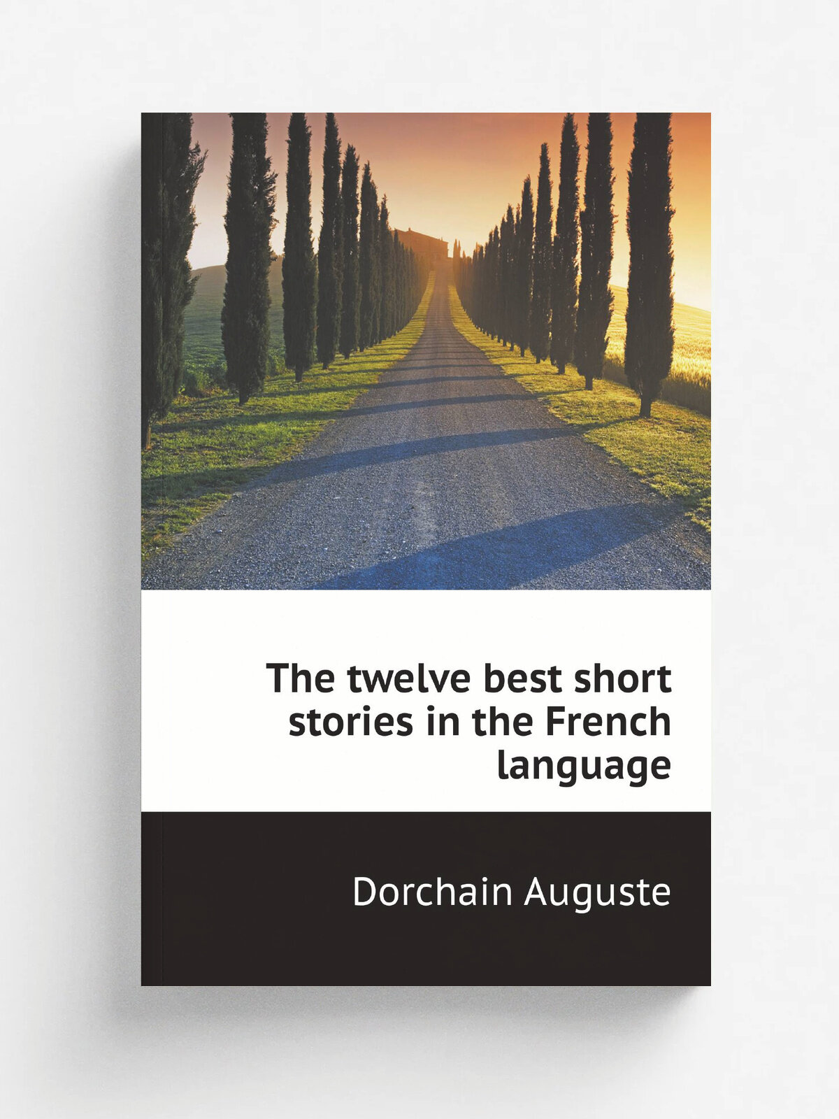 The twelve best short stories in the French language