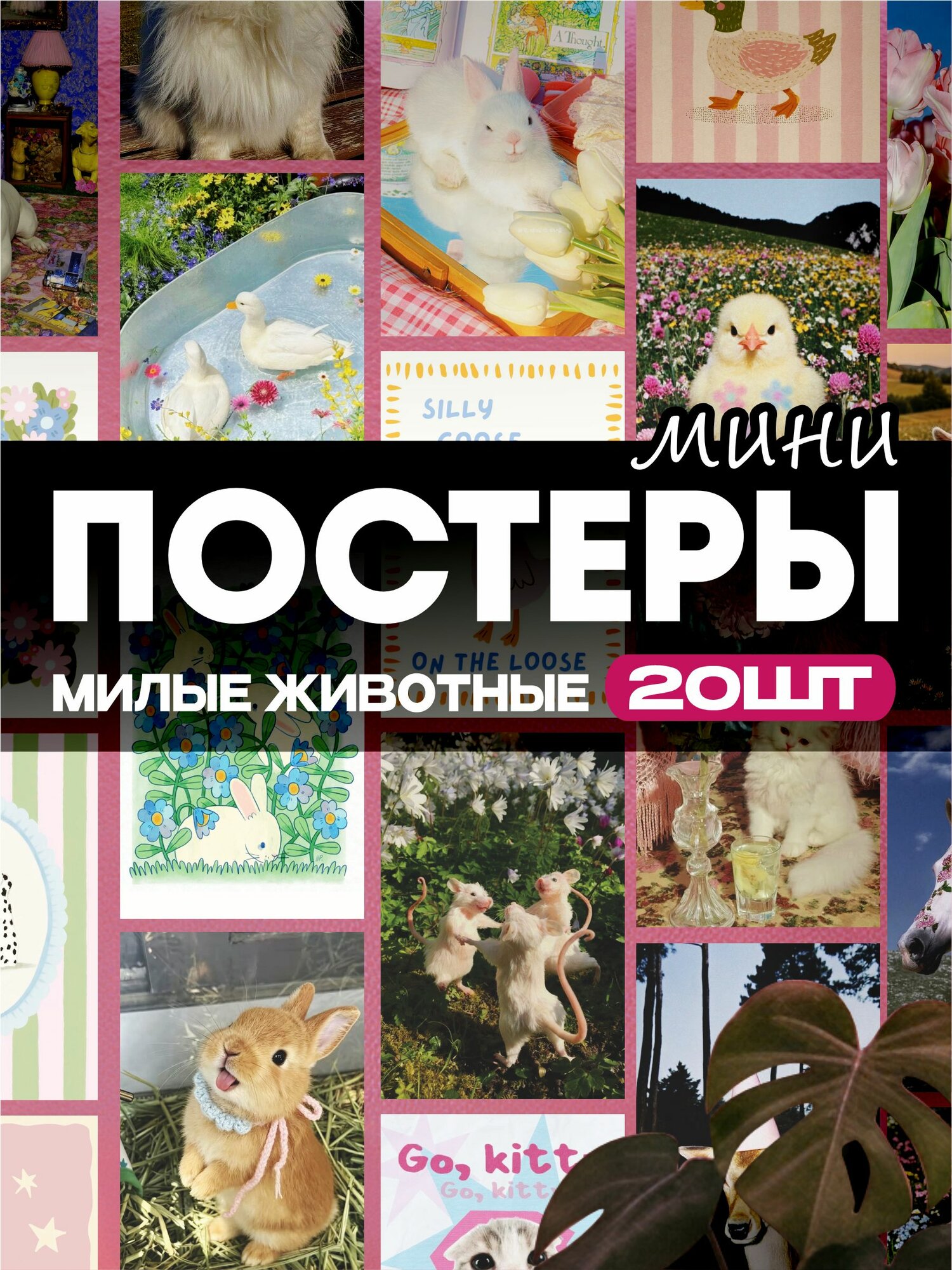 Постеры на стену Милые животные