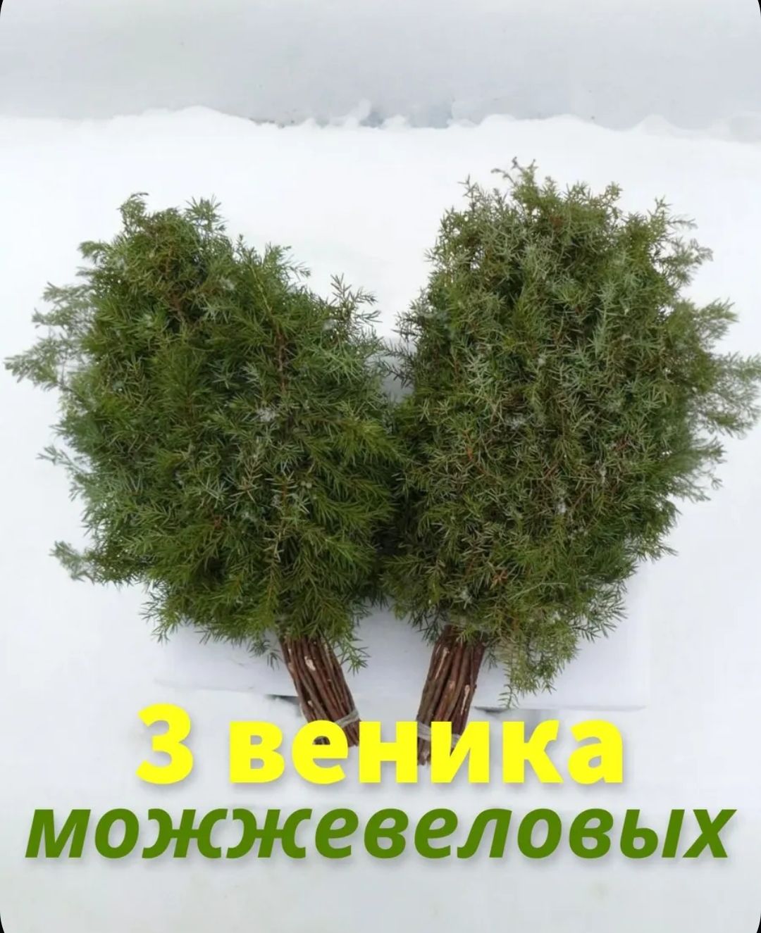 3 Можжевеловых веника