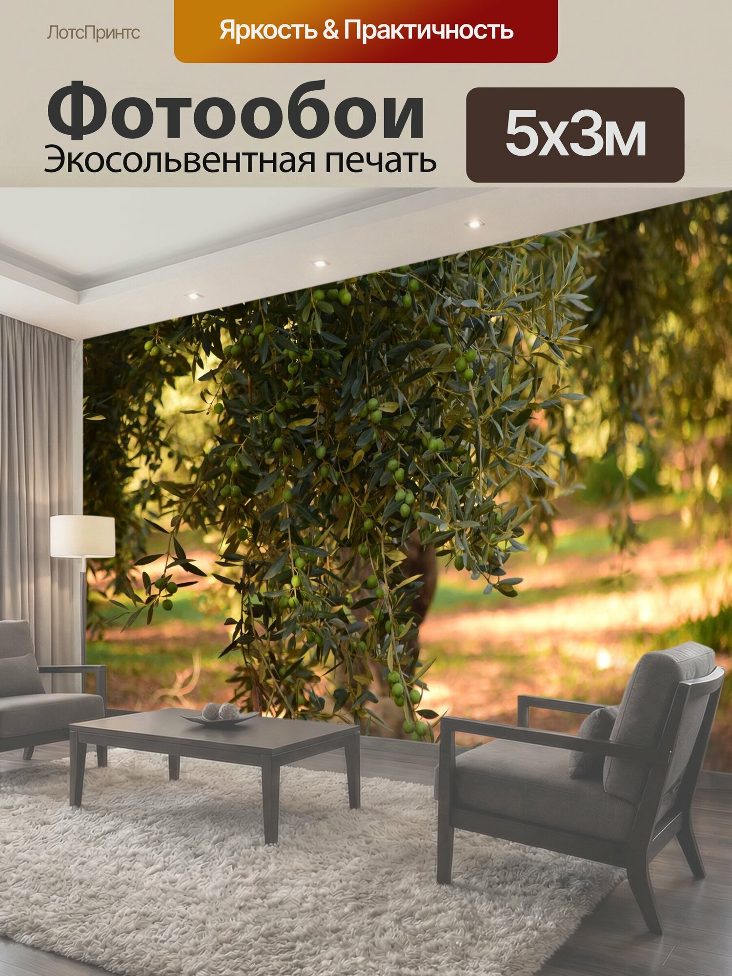 Фотообои "Оливки, оливковое дерево, природа" 500x300 см. экосольвентная печать
