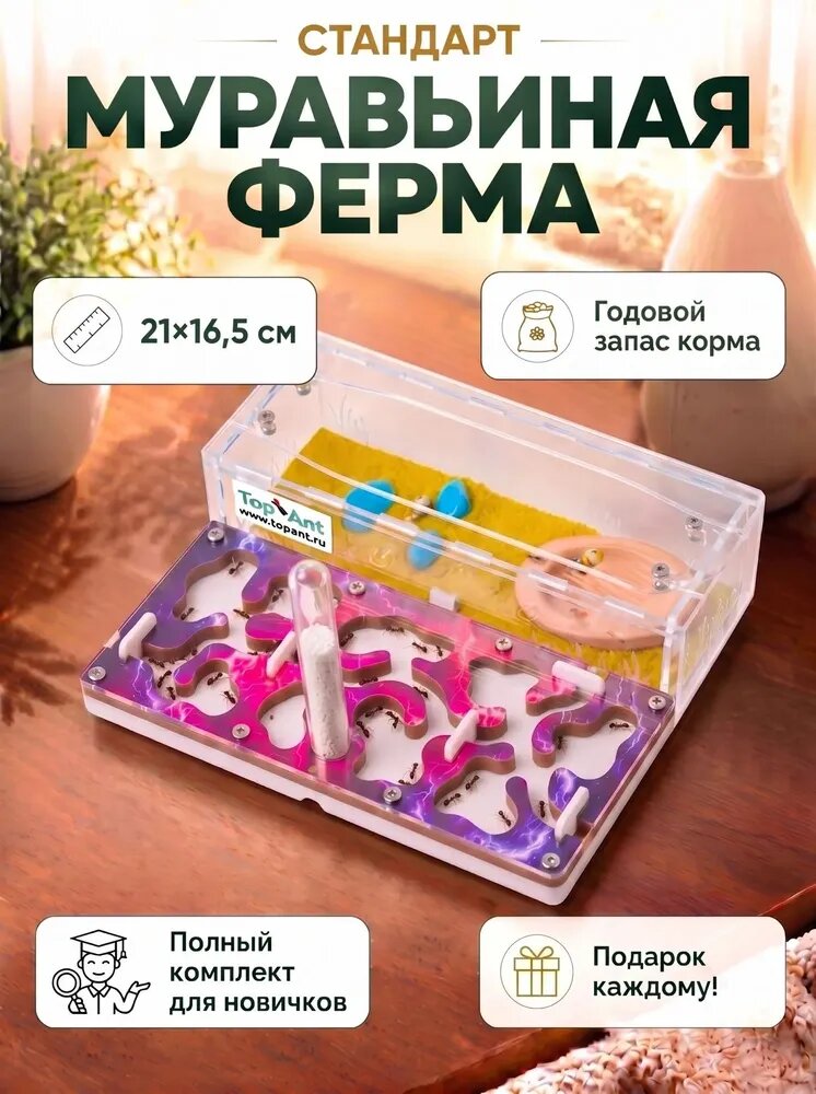 TopAnt Стандартная муравьиная ферма максимальный комплект формикарий для муравьев