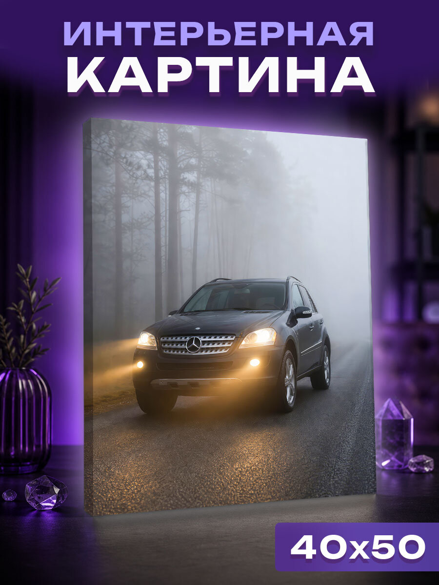 Интерьерная картина Мерседес в утреннем тумане