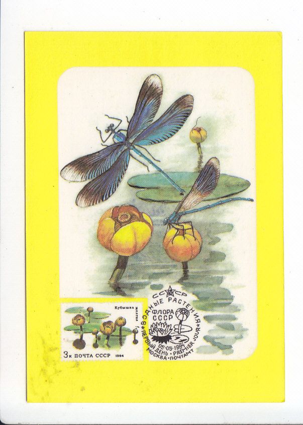 Календарик карманный СССР. 1988 год. Филателия. Стрекоза