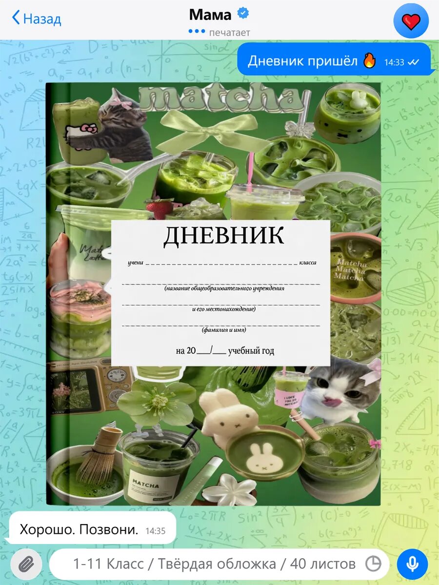 Школьный дневник с принтом y2k pinterest