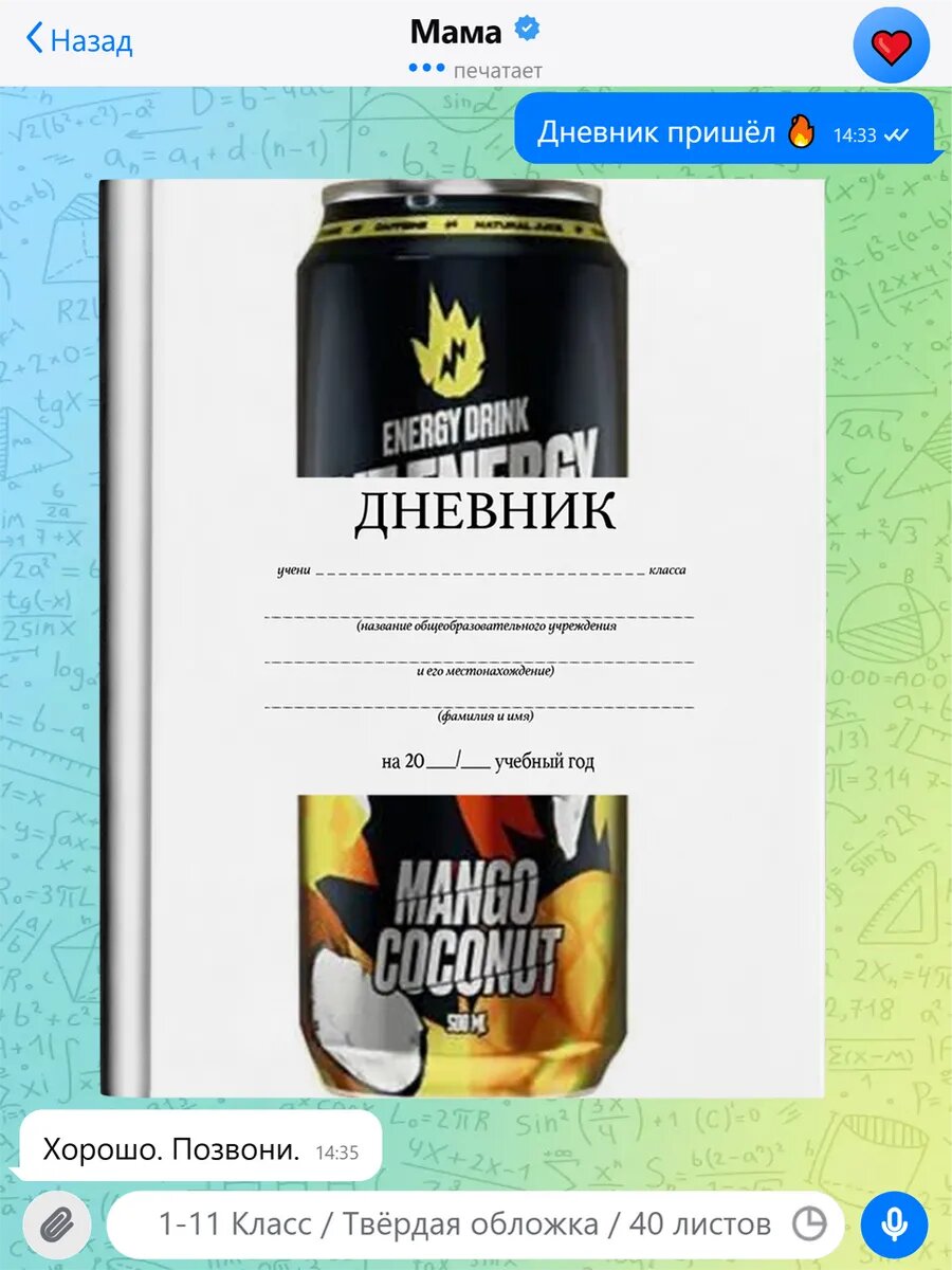Школьный дневник с принтом Роблокс