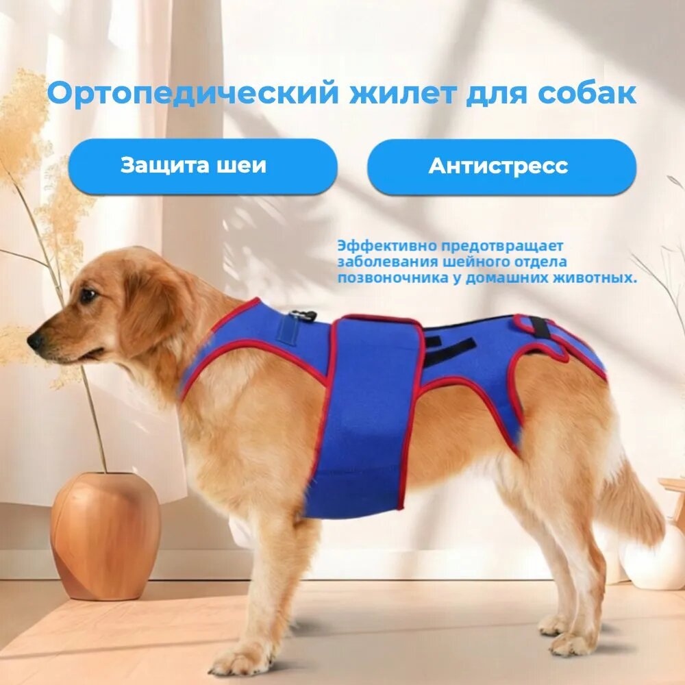 Ортопедическая шлейка-жилет (Синий, S)