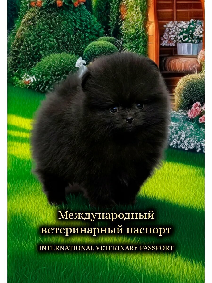Международный ветеринарный паспорт с аудио-записью
