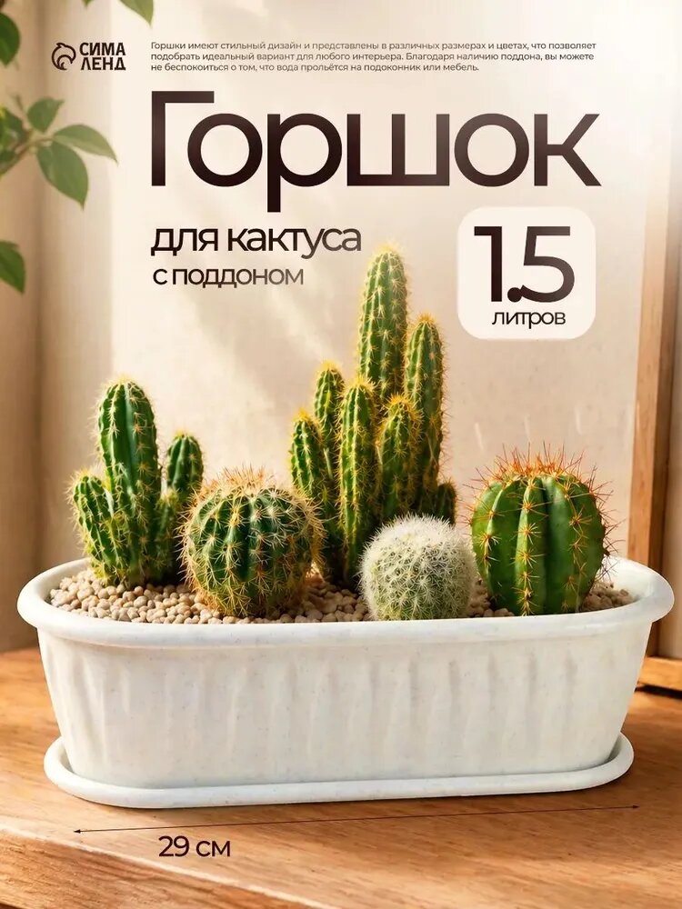Кашпо для кактусов и суккулентов с поддоном 1,5 л, пластиковый горшок для комнатных растений, прямоугольное кашпо для цветов, цвет мрамор
