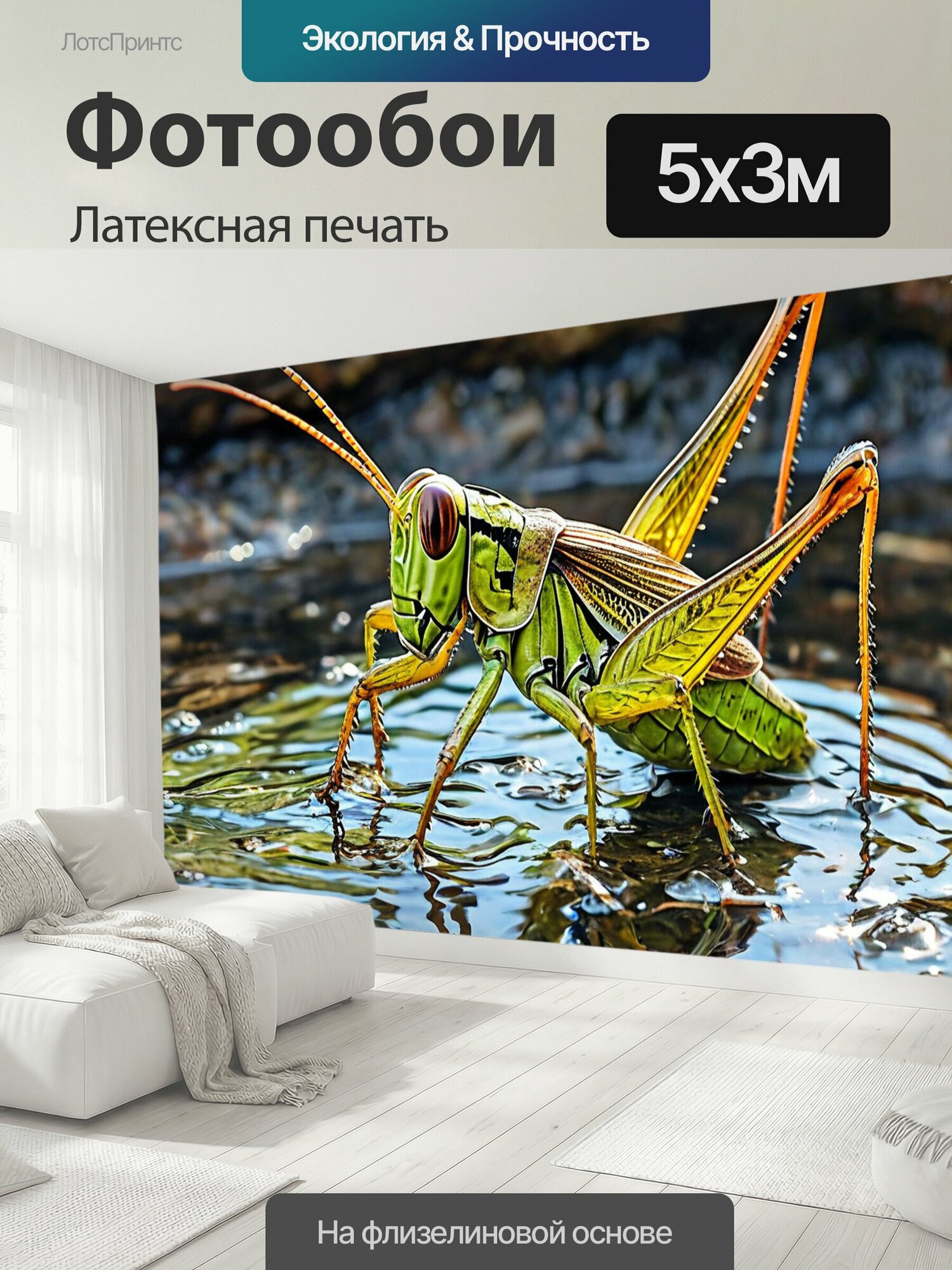 Фотообои моющиеся ударопрочные "Зеленый кузнечик, пьет воду, яркие цвета раздел энтомологии насекомое" 500x300 см. латексная печать