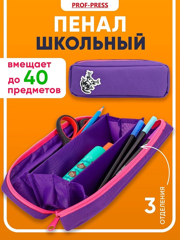 Пенал, VIOLET STYLE, фиолетовый, три отделения (корпусный) (ПН-0917) 21х7х5 см