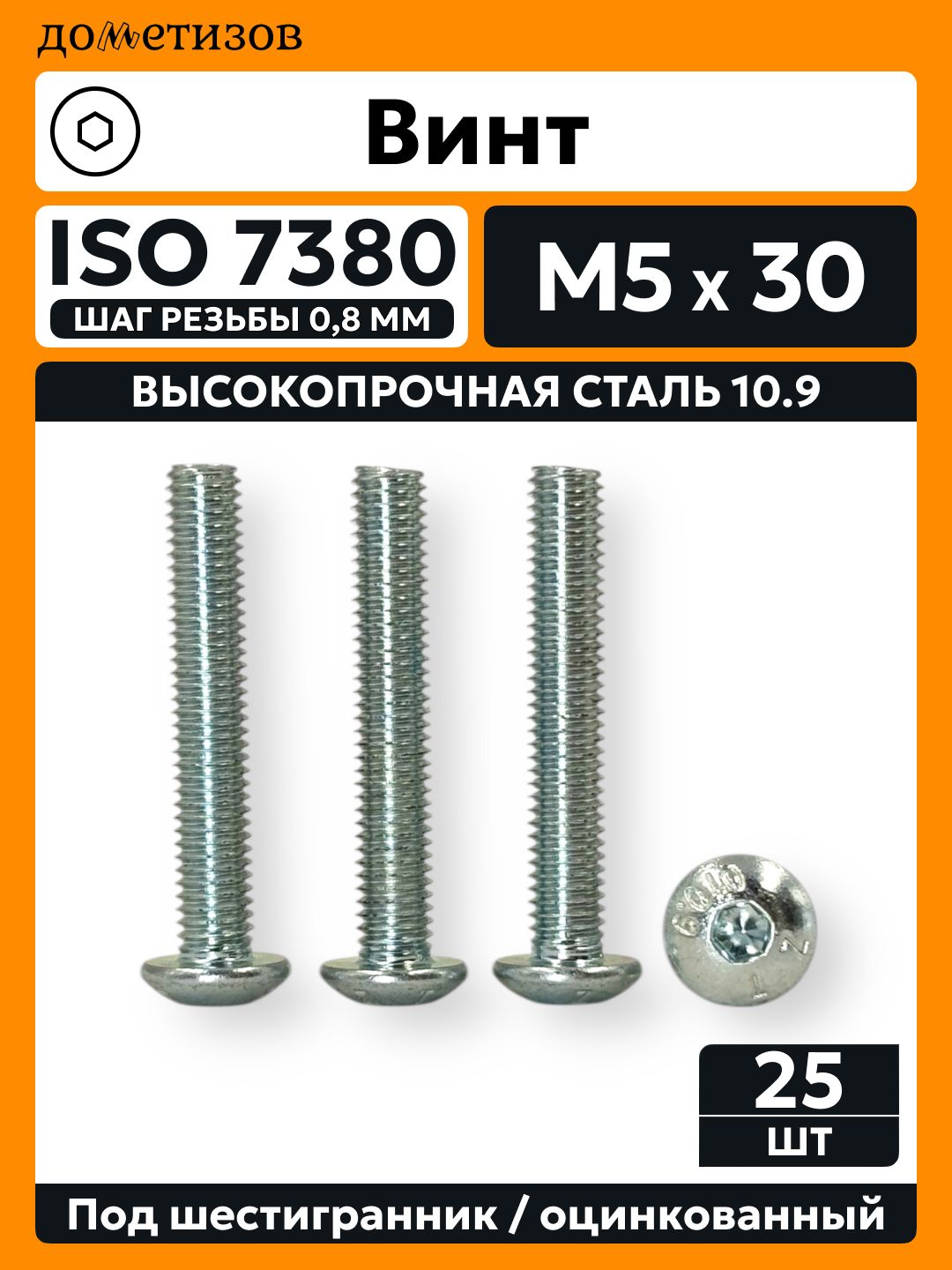 Винт DIN 7380 М 5х30 прочность 10.9 , 25 шт.