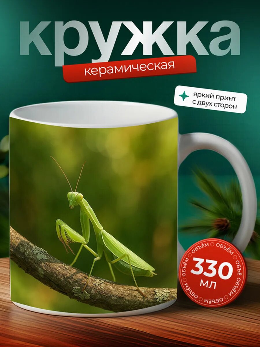 Кружка Богомол насекомое 2,