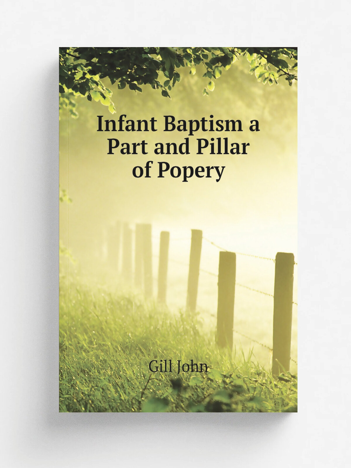 Infant Baptism a Part and Pillar of Popery | Gill John | Репринт