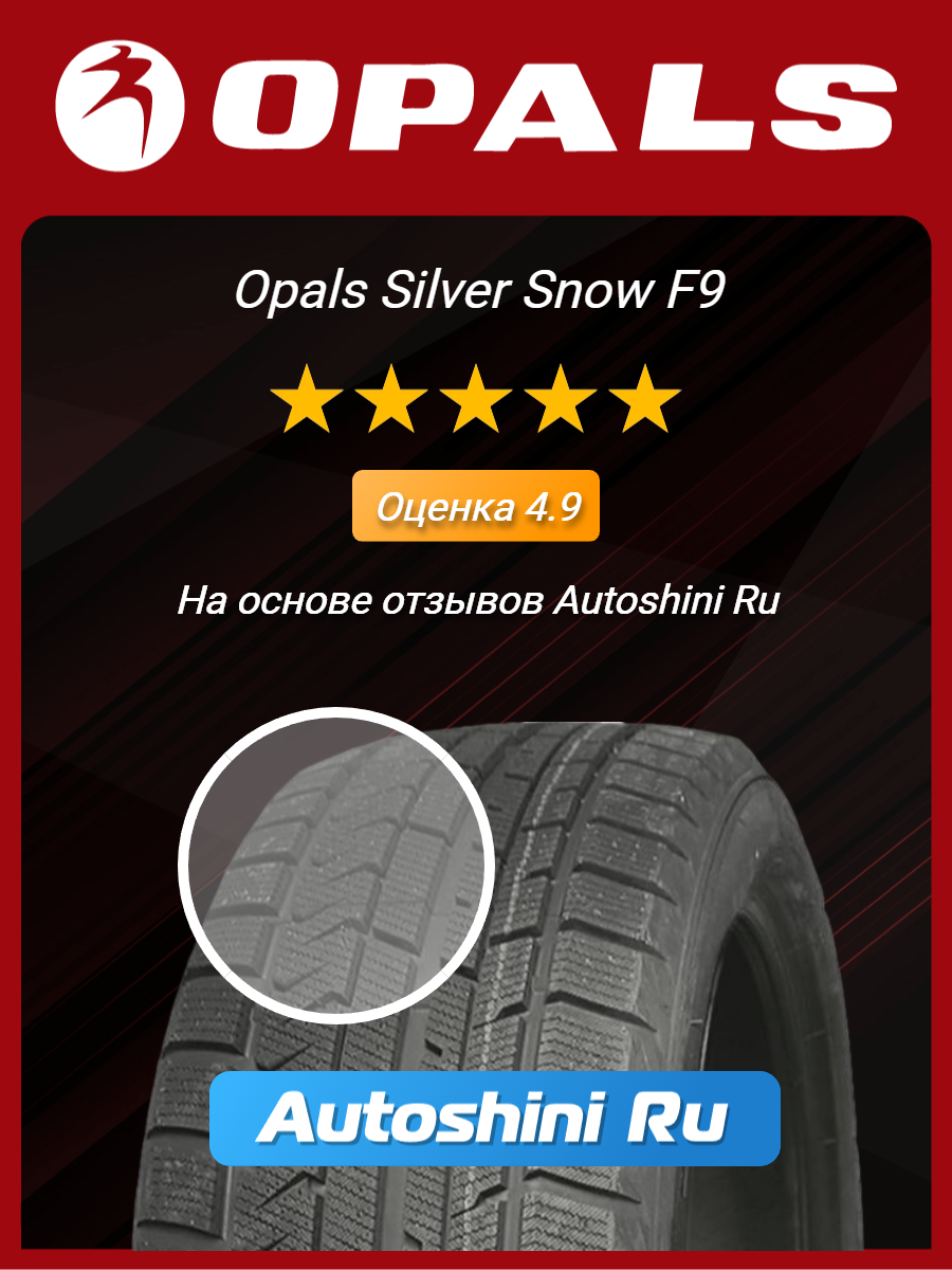 Шины зимние Opals Silver Snow F9 195/65 R15 91H (нешип)