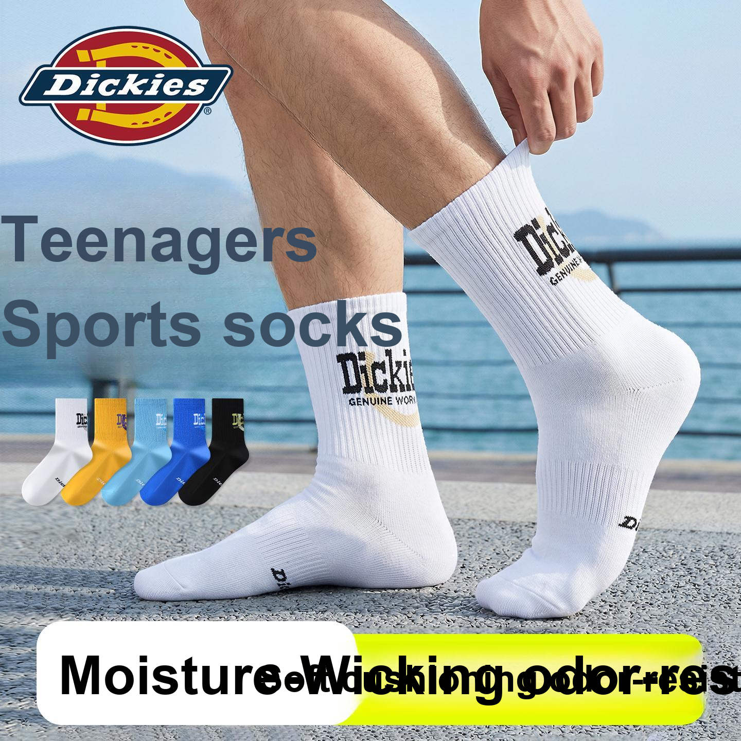 Носки Dickies