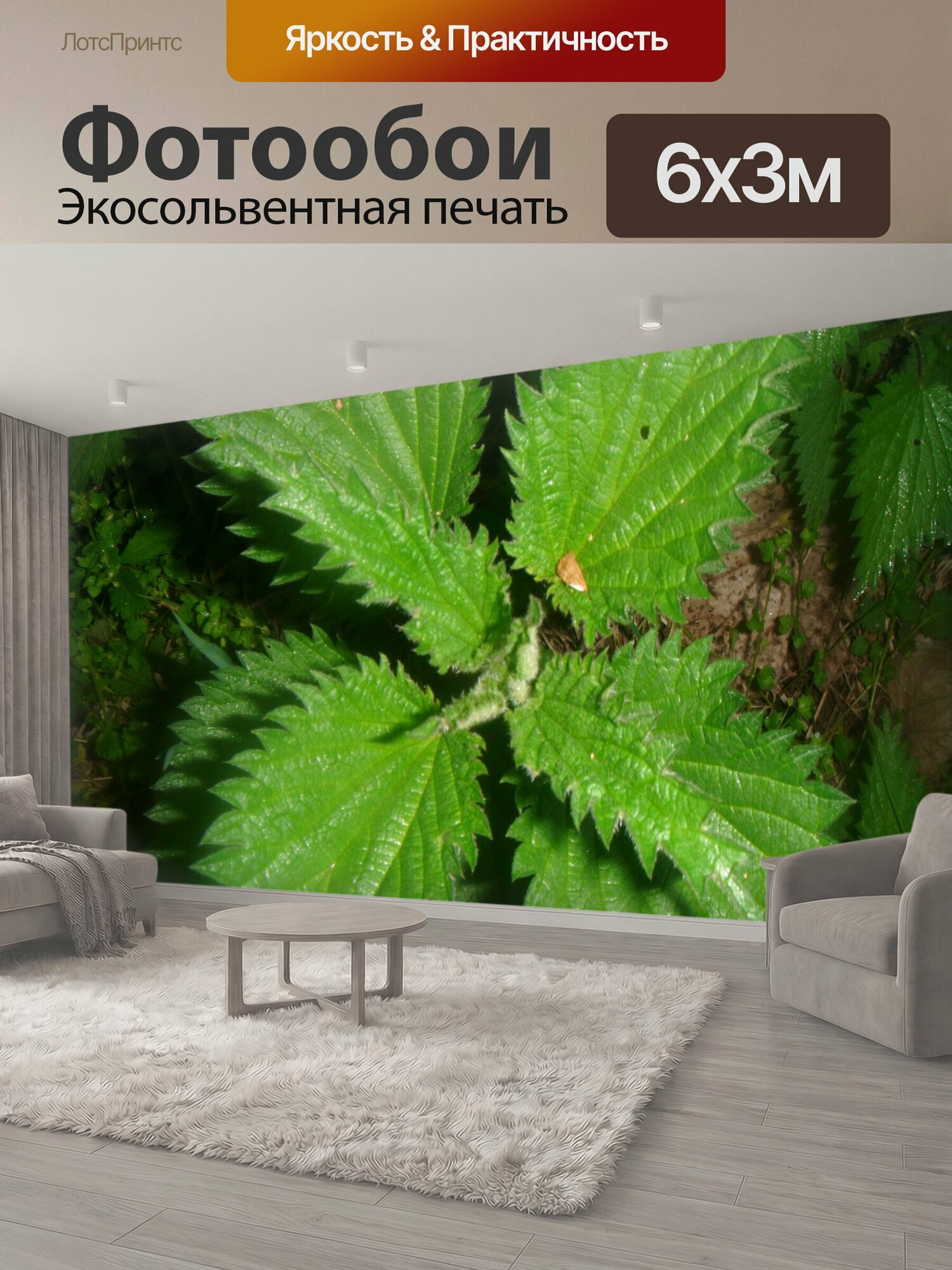 Фотообои "Общие крапивы Молодые крапива по весне крапива жалящие крапивы двудомной растения трава зелень зеленый весна свежие макро зум листья" 600x300 см. экосольвентная печать
