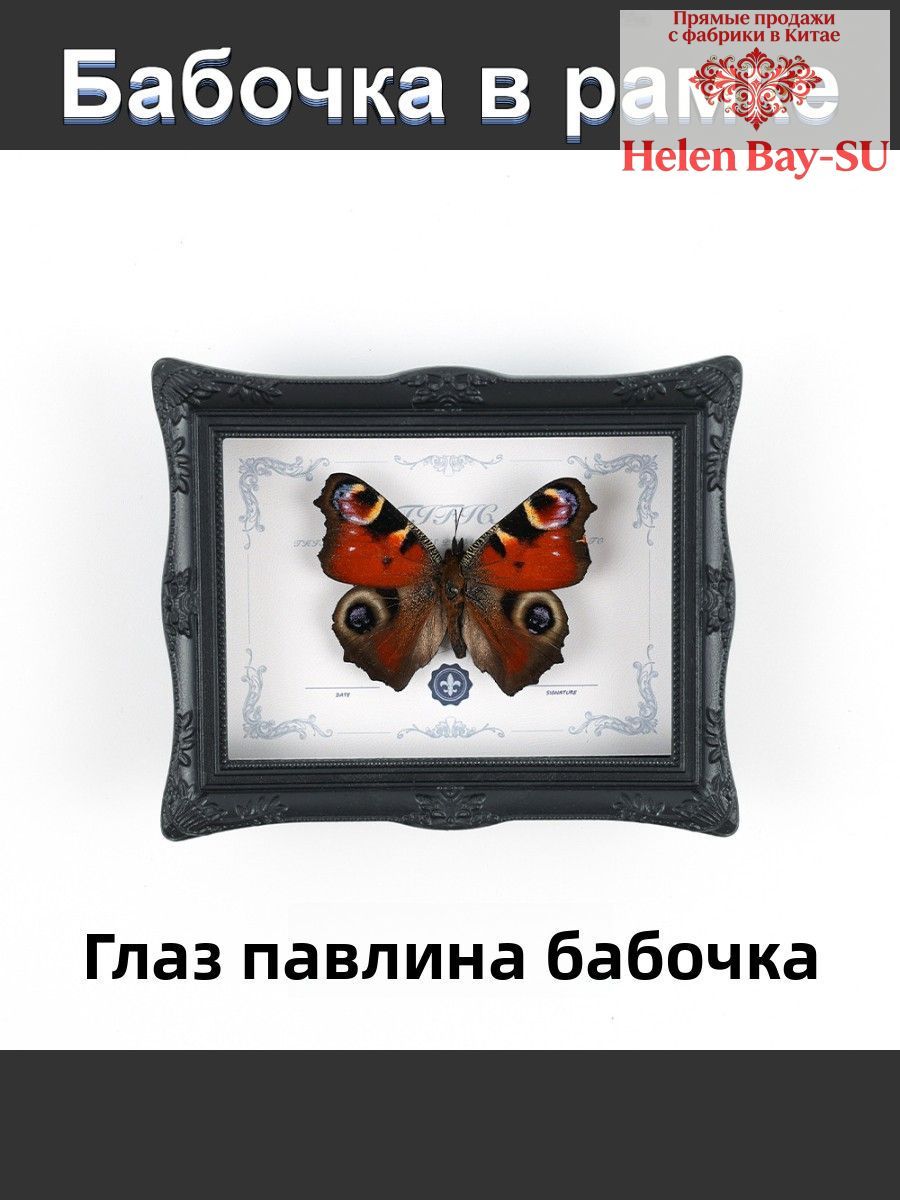 Натуральные образцы настоящих насекомых-бабочек в готовых рамках, магнитах на холодильник и предметах декора для дома. коллекционный подарок