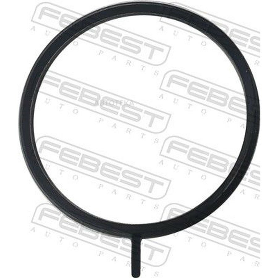Кольцо уплотнительное корпуса дроссельной заслонки NISSAN QASHQAI J10E 2006.12-2013.12 [EL] FEBEST 02400007