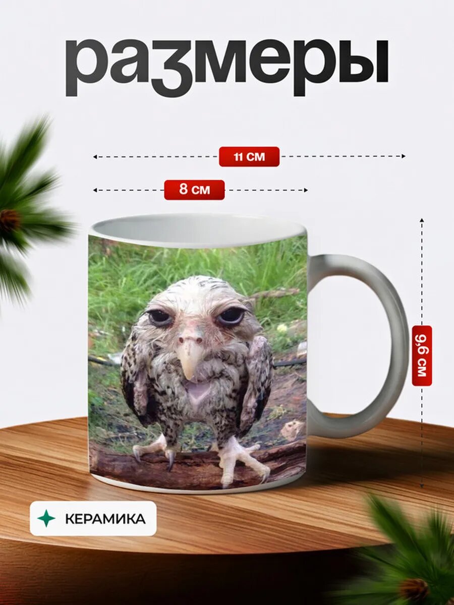 Кружка Сова птица, — фото 1