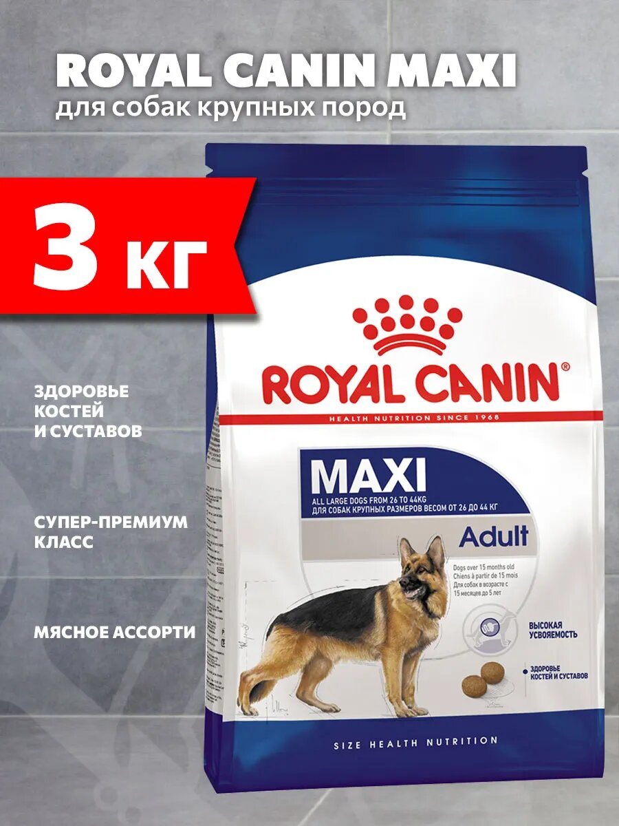 Корм сухой Royal Canin Maxi Adult для взрослых собак крупных пород, 3 кг