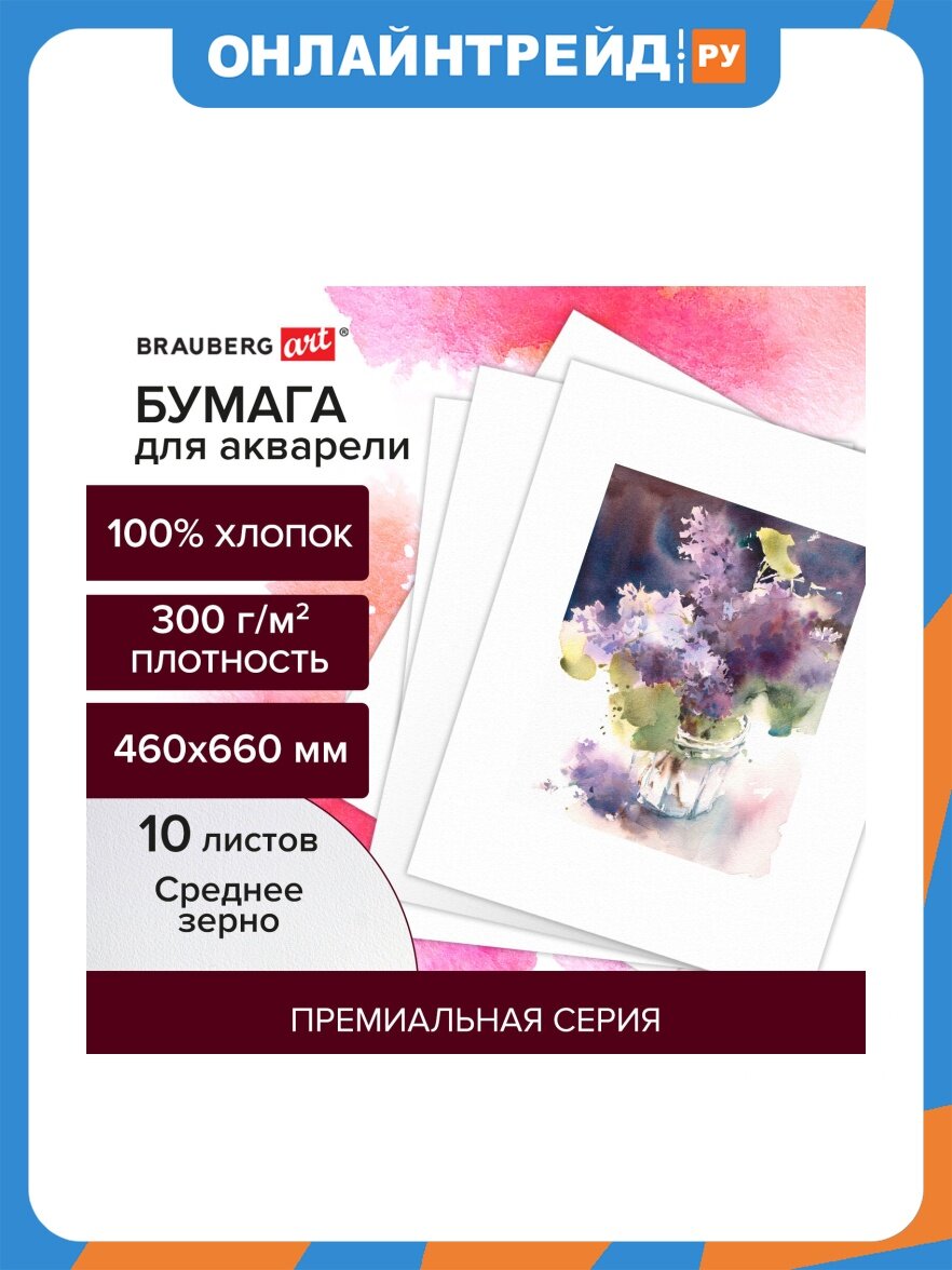 Бумага Brauberg для акварели хлопок 100%, 300 г/м2, 460x660 мм, среднее зерно, 10 листов, ART, "PREMIERE", 113231