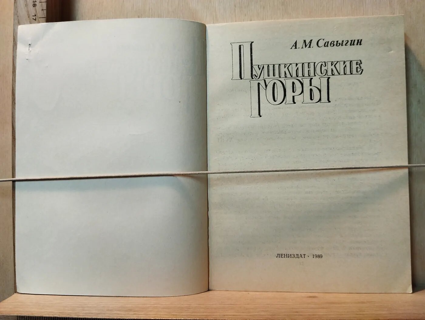 Пушкинские горы — фото 1