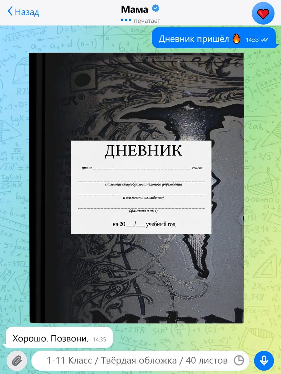 Школьный дневник с принтом Роблокс