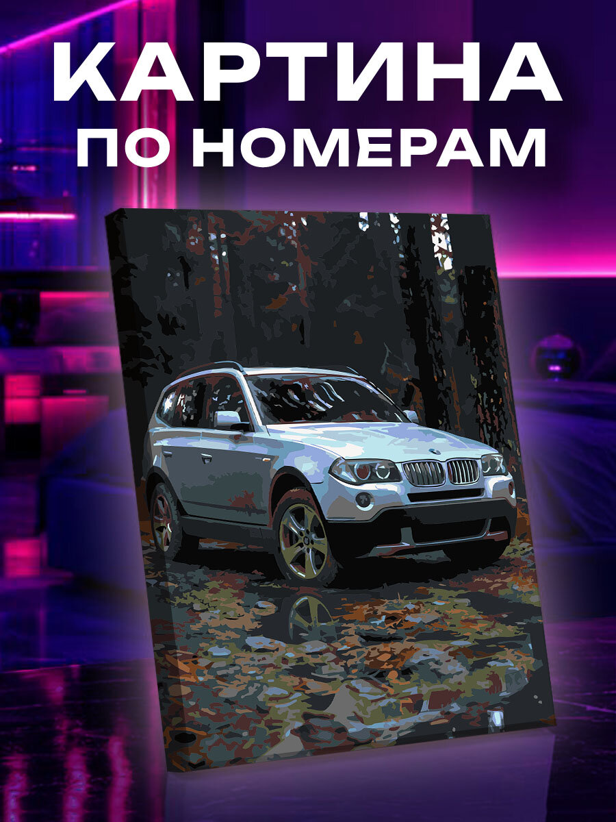 Картина по номерам Серебристый BMW в осеннем лесу