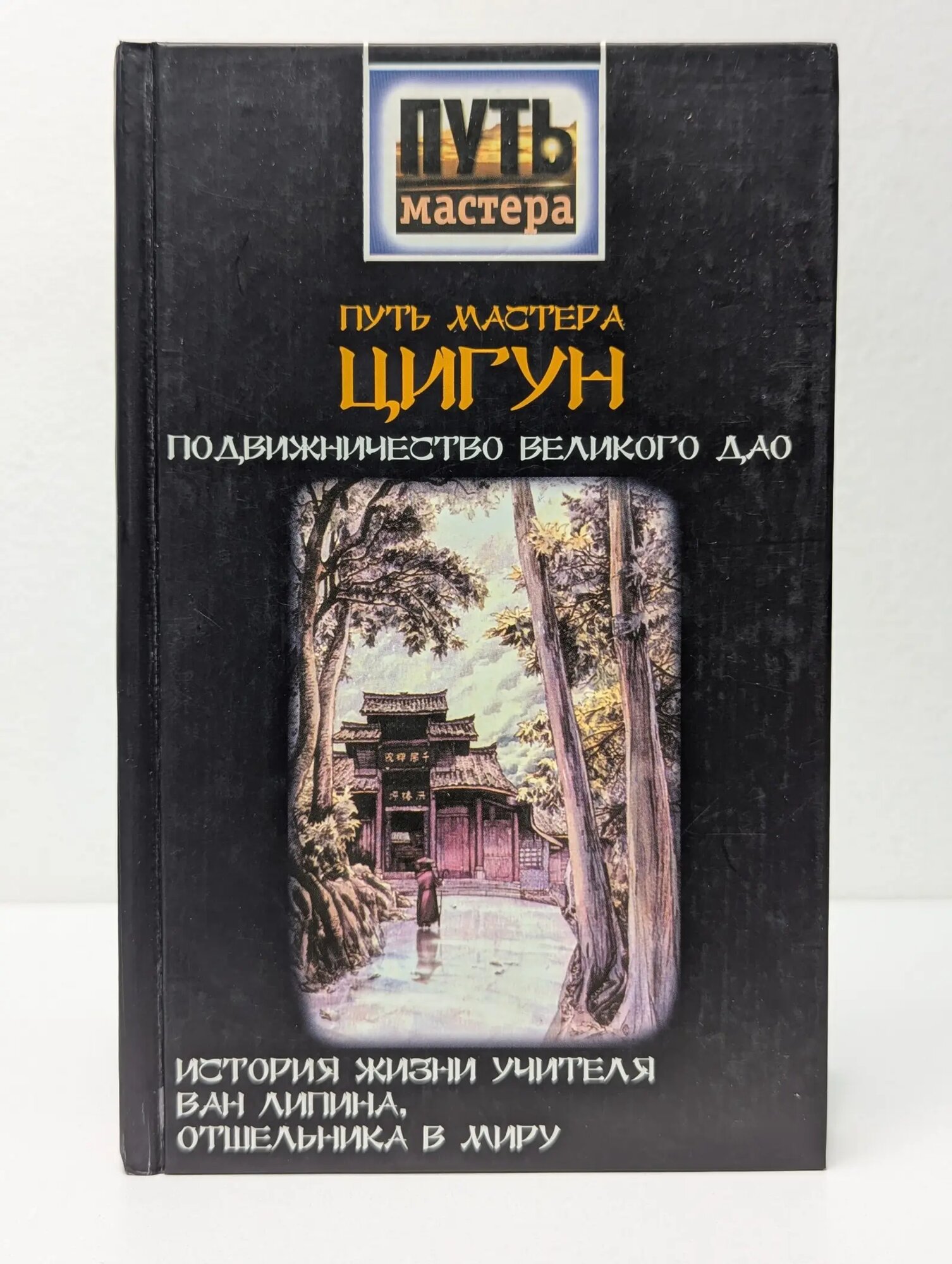 Путь мастера. Путь мастера цигун. Подвижничество Великого Дао. История жизни учителя Ван Липина, отшельника в миру Шуньчао Чжэн, Кайго Чэнь 2002