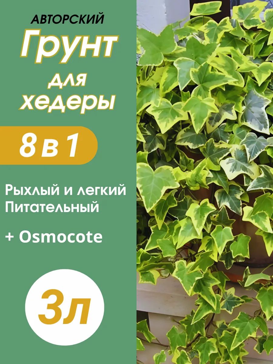 Грунт для Хедеры 3л готовый